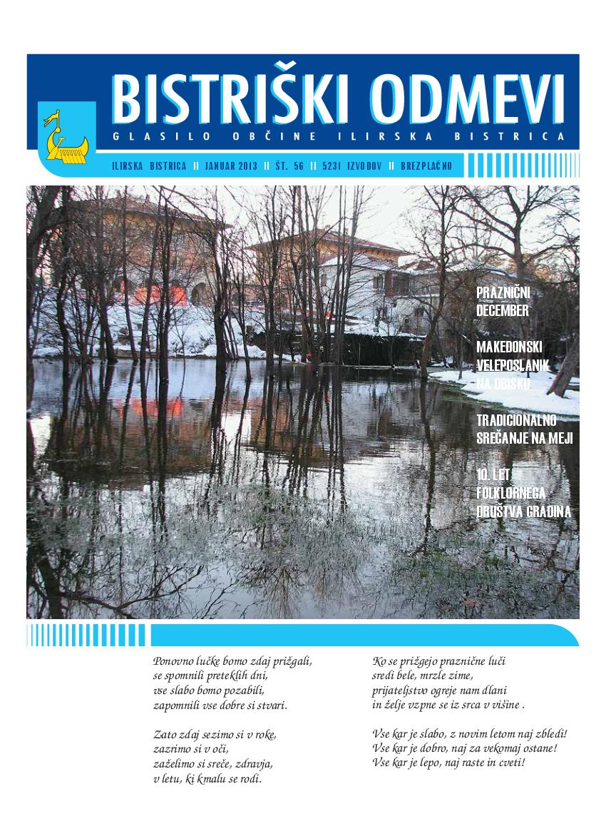 Bistriški odmevi, št. 56, januar 2013 - ilirska-bistrica.si