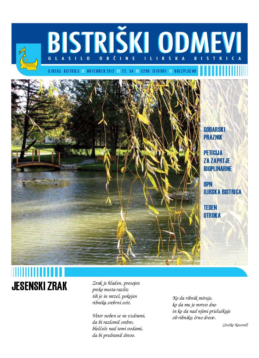 Bistriški odmevi, št. 54, november 2012 - ilirska-bistrica.si